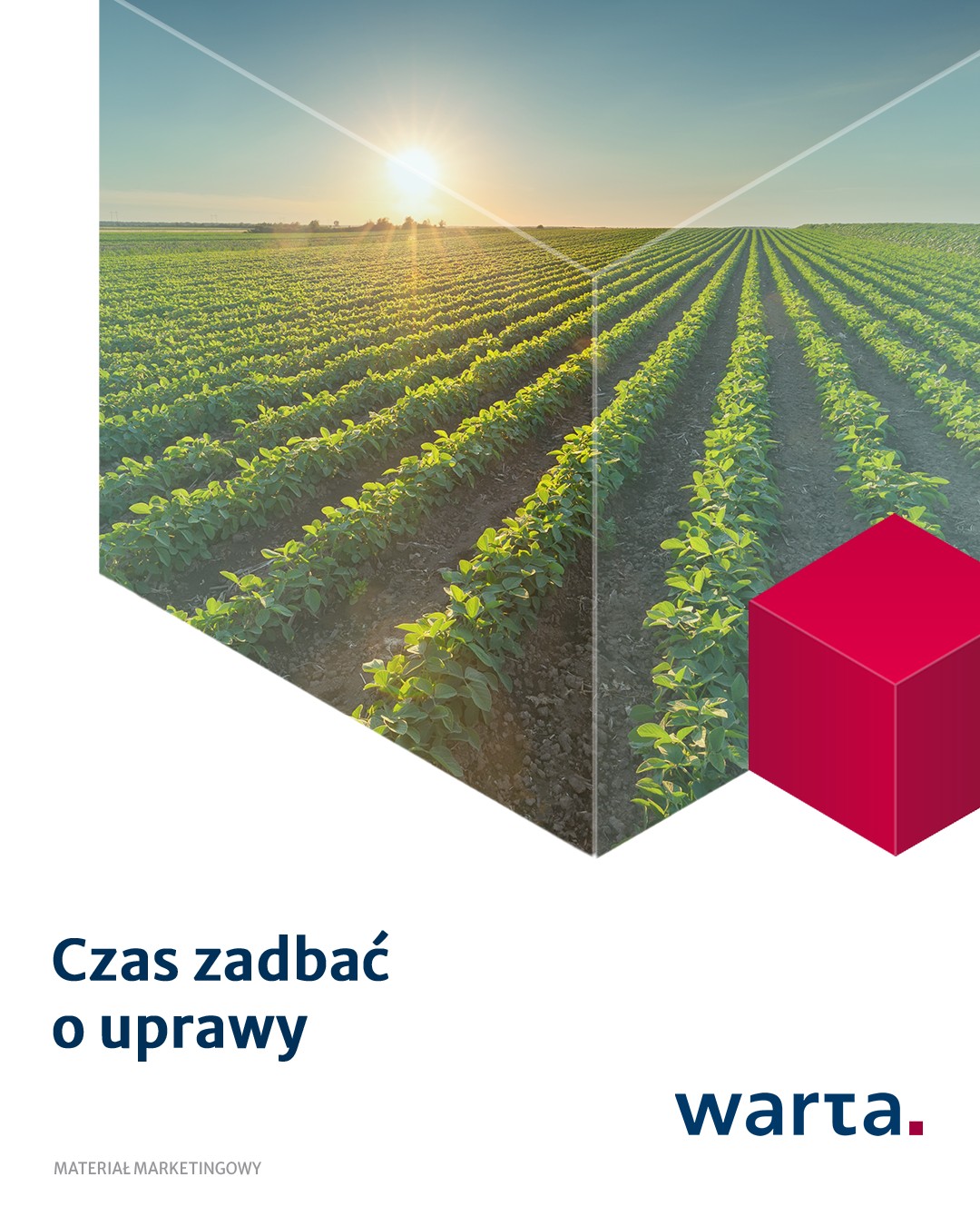 Warta Ubezpieczenia Online – Ubezpieczenia Komunikacyjne, Mieszkaniowe ...